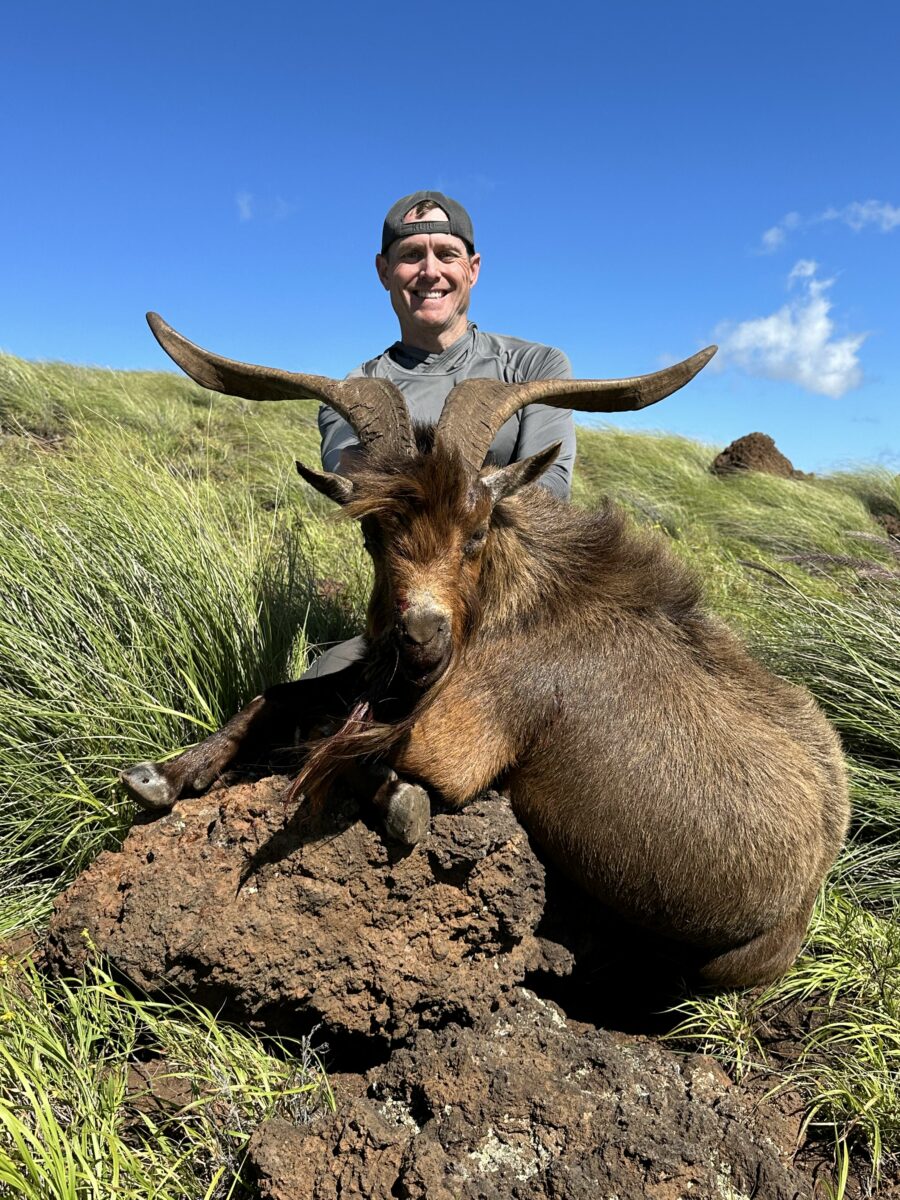 Hunt Hawaii - Parker Ranch Hunting Tours